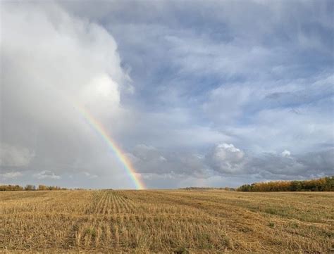 Chapter 7 Transformative Resilience Building Resilient Rural Communities