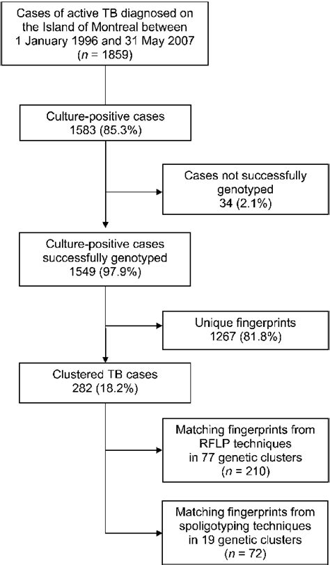 flow chart for tb cases in montreal canada 19962007 tb