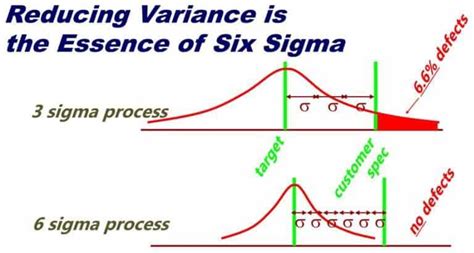 Do You Understand Process Variability Causes