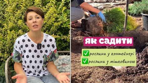 Чи потрібно розправляти коріння при посадці рослин Як садити Youtube