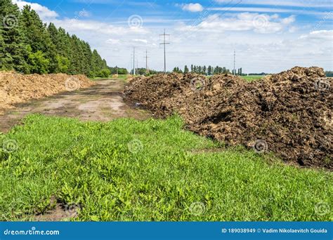 Farm Composting In Windrows Stock Image Image Of Windrow Piling 189038949