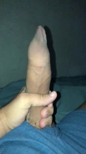 818bbc Warning Patrons That May Suffer From Epilepsy And O