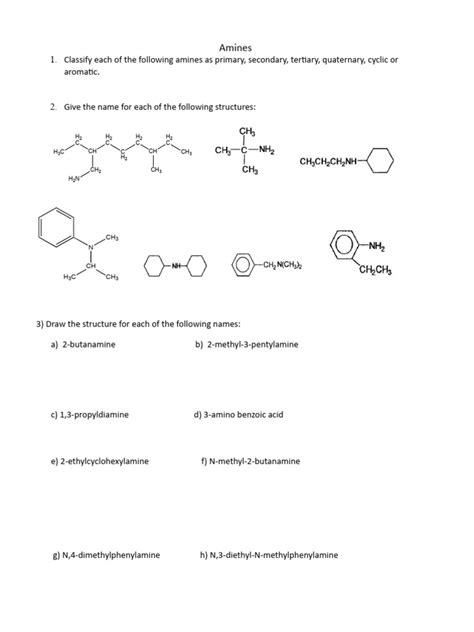 Amines Worksheet Ocr A Pdf