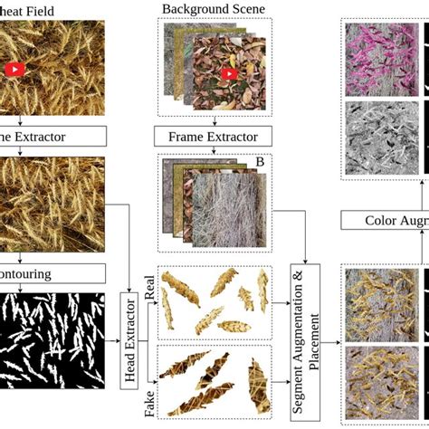 The Procedure For Simulating The Computationally Annotated Download Scientific Diagram