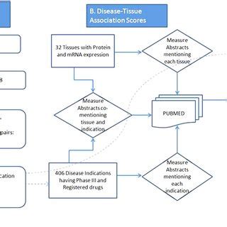 Work Flow With The Key Filtering And Processing Steps Applied To Download Scientific Diagram
