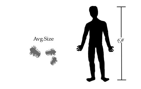 Sky Rock Shoav Organism 11 Of Planet Prisime R Speculativeevolution