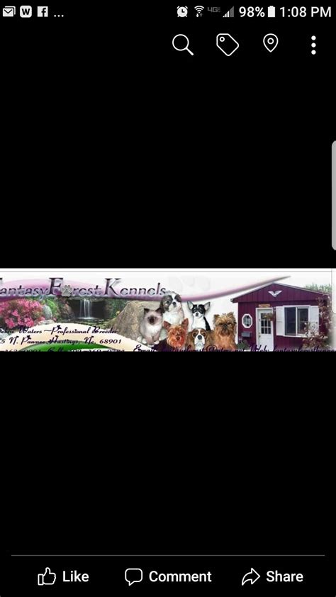 Fantasy Forest Kennels Hastings Ne