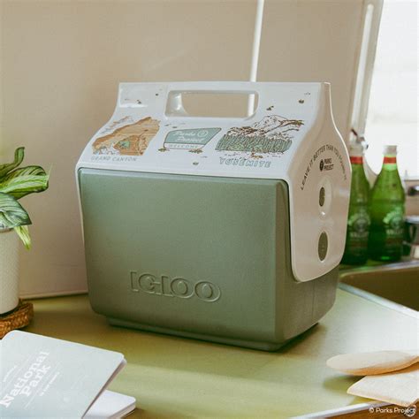 Sonic The Hedgehog Igloo