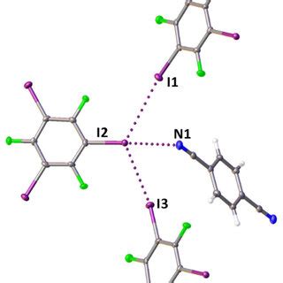 Fragments Of The Molecular Structures Of FIB Left Panel