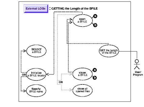 External Lobs Bfiles 28 Of 41