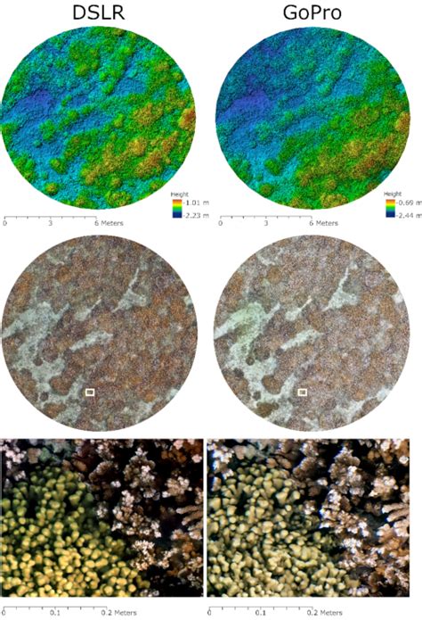 A Field Primer For Monitoring Benthic Ecosystems Using Structure From Motion Photogrammetry