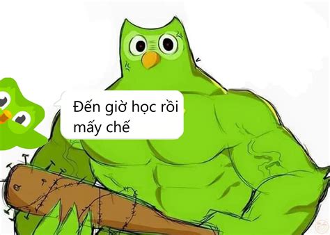 50 Meme Cơ Bắp 💪 Ảnh Chế Cơ Bắp Ngầu Hài ẻ