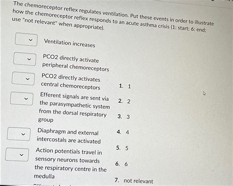 The Chemoreceptor Reflex Regulates Ventilation Put