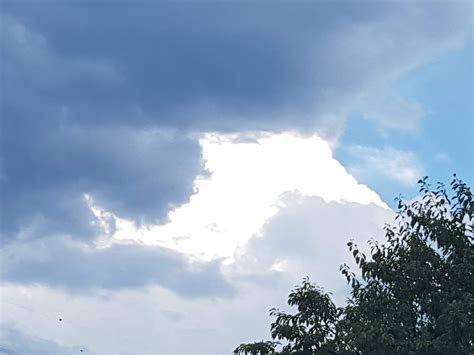 겨자씨사랑의집