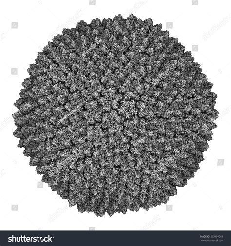 22 Antibiotic Capsid Images Stock Photos Vectors Shutterstock