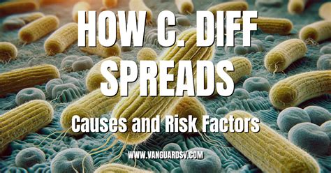How C Diff Spreads Causes And Risk Factors How C Diff Spreads Causes And Risk Factors