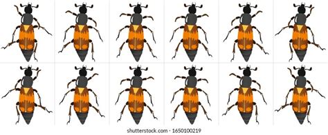 Sprite Set Animation Moving Bug Stock Illustration 1650100219