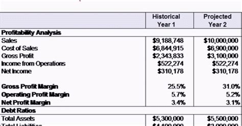 Excel Templates Format Financial Statement Templates