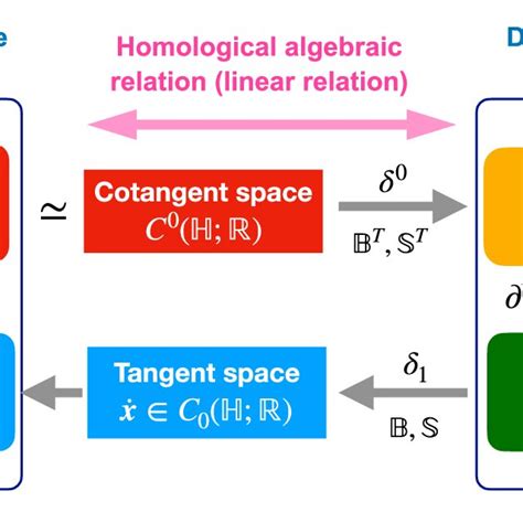A Relationship Between Wasserstein Geometry And Information Geometry