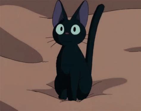 Animated Black Cat S