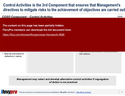 PPT COSO Framework Slide PPT PowerPoint Presentation PPTX FlevyPro Document Flevy