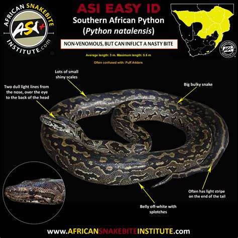 Southern African Python African Snakebite Institute