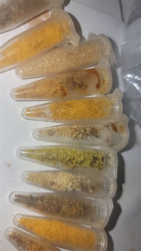 The Colors Of Dmt Extraction R Dmtguide