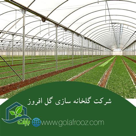 شرکت گلخانه سازی پالیز کامیاب گل افروز شرکت گلخانه سازی در تهران