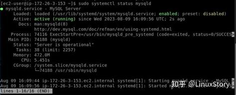 在 Amazon Linux 2023 上安装 MySQL 8 服务器和客户端 知乎 在 Amazon Linux 2023 上安装 MySQL 8 服务器和客户端 知乎