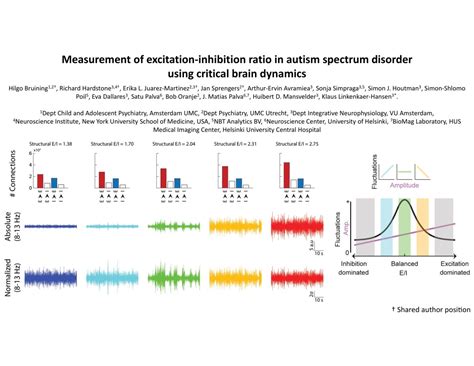 Virtual Poster 12 Measurement Of Excitation Inhibition Ratio In Autism Spectrum Disorder