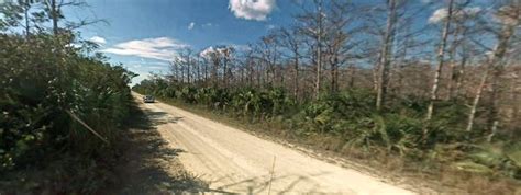 Loop Road Of Everglades In Fl Watch Out For Alligators