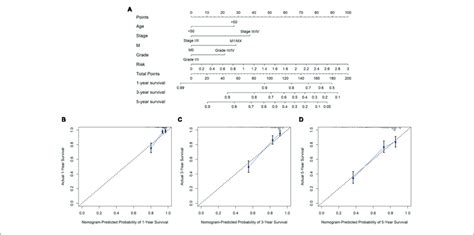 nomogram and calibration plots a 1− 3− and 5 year os predicted