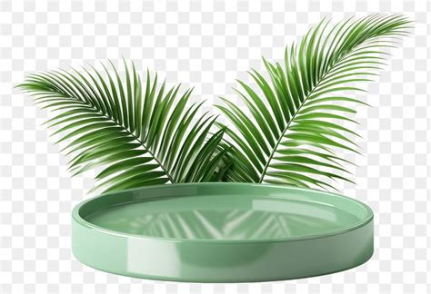 Flowers Platform Images Free Photos Png Stickers Wallpapers