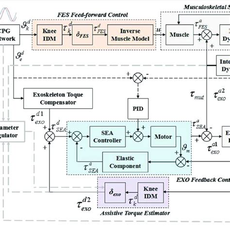 Block Diagram Of Cooperative Control Scheme For Fes And Exoskeleton Download Scientific