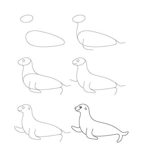 Seal Drawing Ideas Drawing Photos