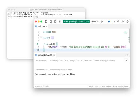 Launch JetBrains Fleet From CLI JetBrains Fleet Documentation
