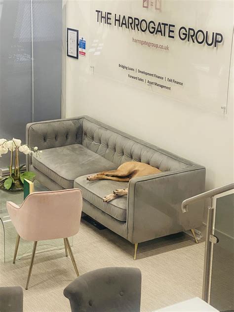 Bridgingfinance Sue Wright