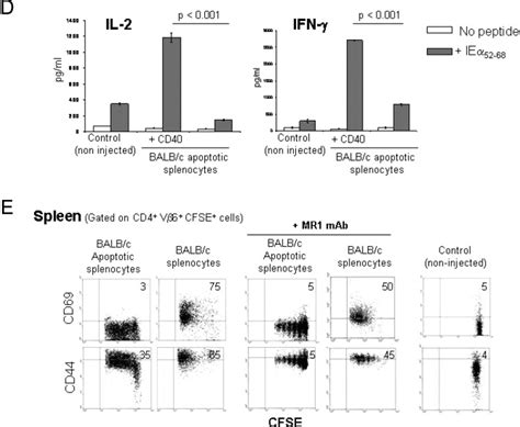 Donor Apoptotic Splenocytes Induce Proliferation Of Alloreactive T