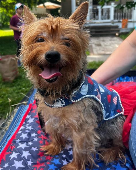 Blue Monkey Butt Added A New Photo Blue Monkey Butt