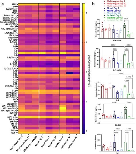 Immune Function Over Four Week Culture A B Heatmap Of All Measured