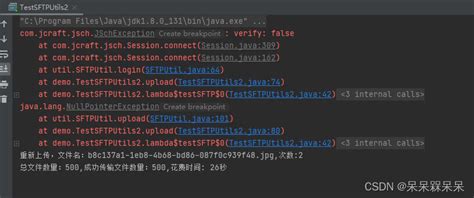 Comjcraftjschjschexception Verify False Csdn博客