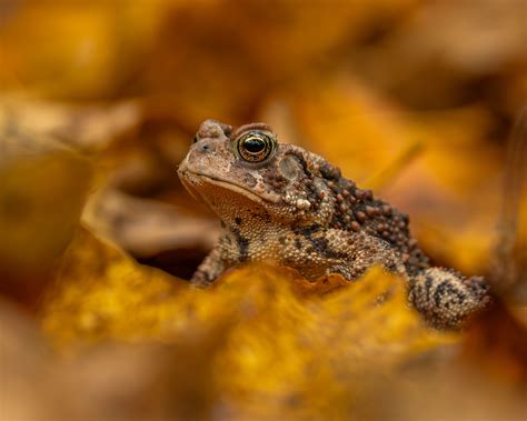 Sigma Canada Sigma Canada Added A New Photo