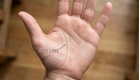 Life Line In Palmistry Indian Chinese And Western Views