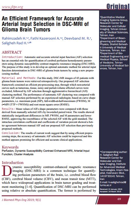 qmisg an efficient framework for accurate arterial input selection in