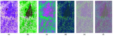 Feature Visualization Of The Proposed Method And Original Neural Download Scientific Diagram