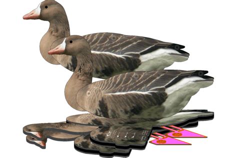 Lockgans Blässgans NRA FUD 6er-Pack