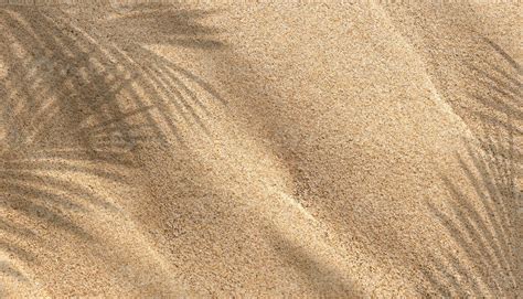 Sand Beach Texture Background With Coconut Palm Leaves Shadow And
