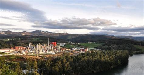 Ence Programa Parada Técnica Anual Com Investimento De €14 Milhões