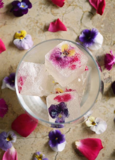 Deko Ideen Essbare Blumen Für Torten Salate Und Cocktails Welche Arten