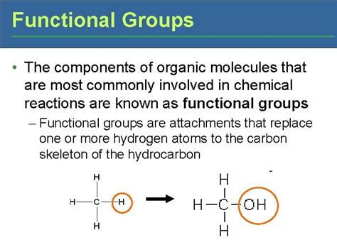 Carbon And Its Related Functional Groups Reference Campbell